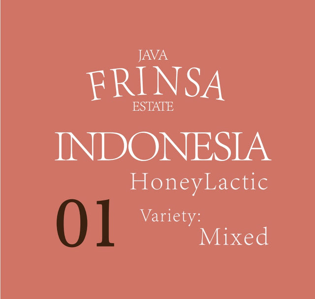 インドネシア ハニーラクティック Mixed[Java Frinsa Estate] – Sai Coffee Roastery